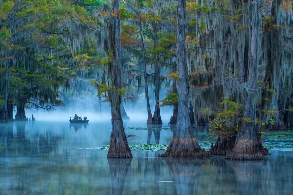 Geheimnisvolle Sümpfe | ethos Magazin